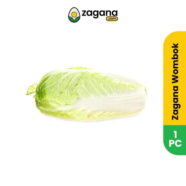Zagana Farm Fresh Vegetables Wombok / Pechay Baguio 1PC | Lazada PH