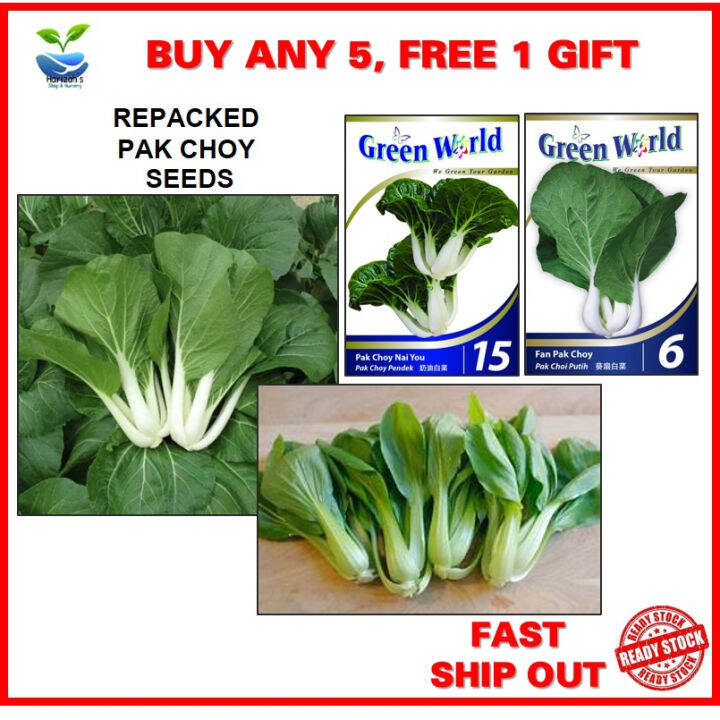 1-2g Benih PAK CHOY PUTIH / PENDEK RENEK / PAKCHOY HIJAU Semua Musim ...