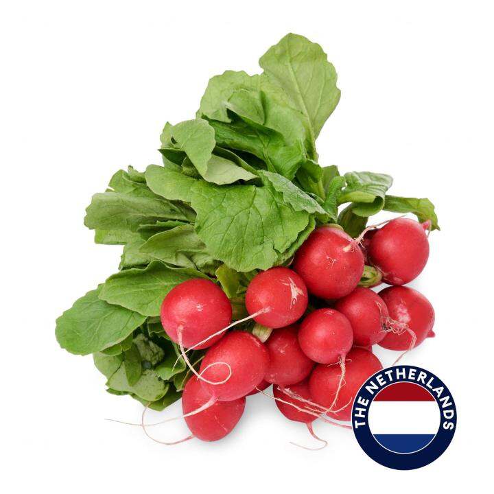 Daily Fresh Radish Bunched | Lazada Singapore