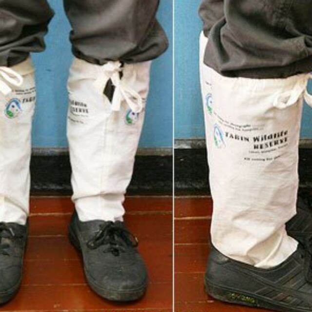 ANTI - LEECH SOCKS STOKIN PACAT | Lazada