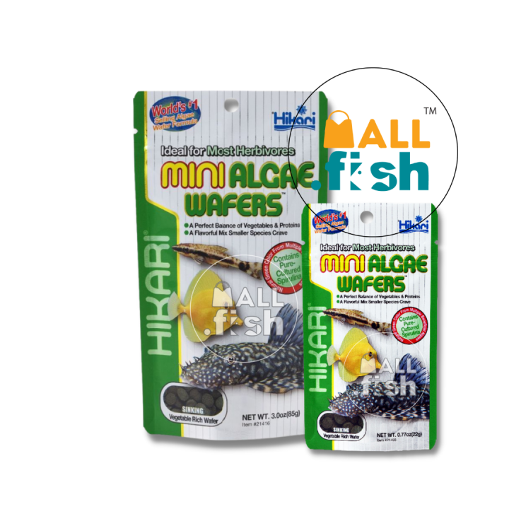 Hikari Mini Algae Wafers 22g /85g for Bottom Feeding Herbivorous Fish ...