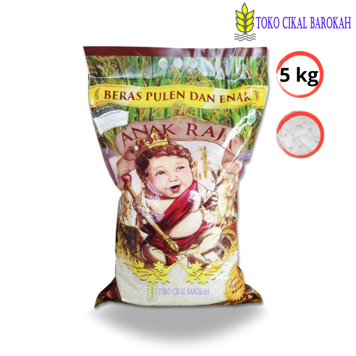 Beras Anak Raja Premium 5 Kg | Lazada Indonesia