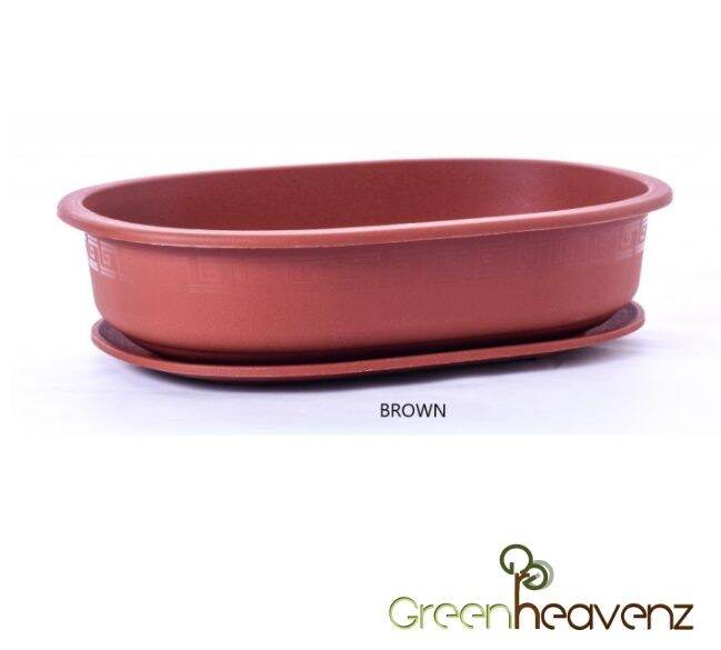 GHZ - BABA BI204 + 906 Saucer SUCCULENTS CACTUS TERRARIUM BONSAI ...