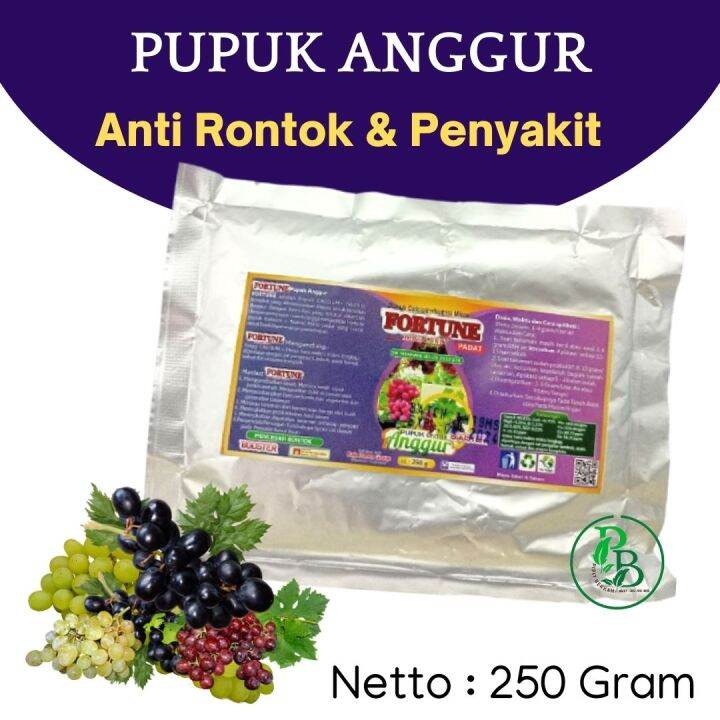 PUPUK buah anggur, nutrisi tanaman anggur merah berbuah lebat | Lazada ...