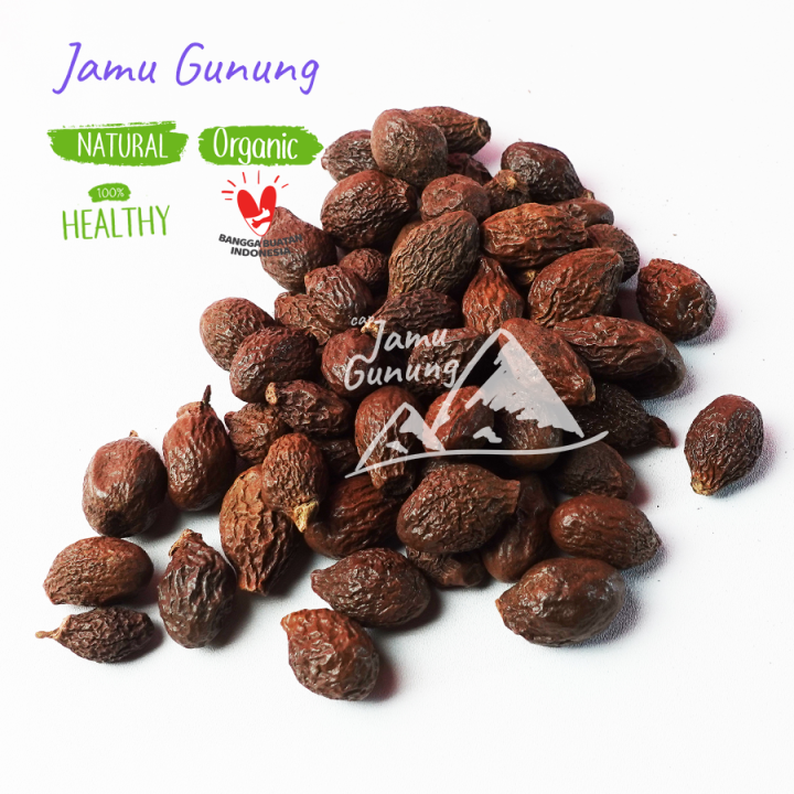 Buah Tempayang Buah Kembang Semangkuk Pang Ta Hai 50gr - Grade A ...