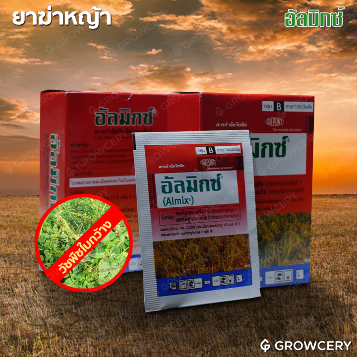 [G] อัลมิกซ์ ยากำจัดวัชพืช ยากำจัดหญ้าแห้วหมู หญ้าในนาข้าว หญ้าในอ้อย หญ้าในข้าวโพด ยี่ห้อ อัลม ...