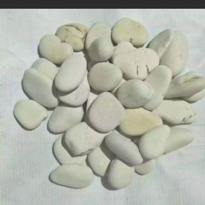 Batu koral putih hiasan - kemasan 1kg batu koral putih | Lazada Indonesia