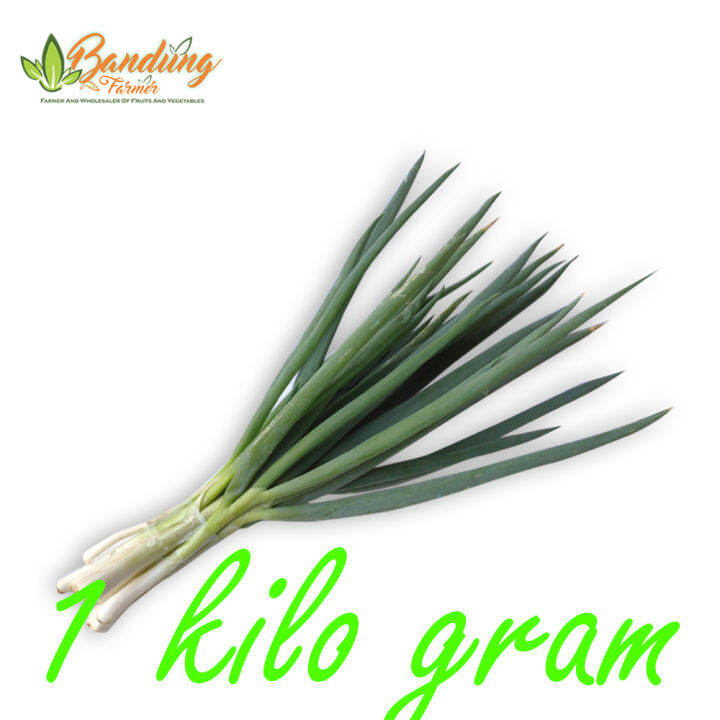 Daun Bawang 1 kilo gram | Lazada Indonesia