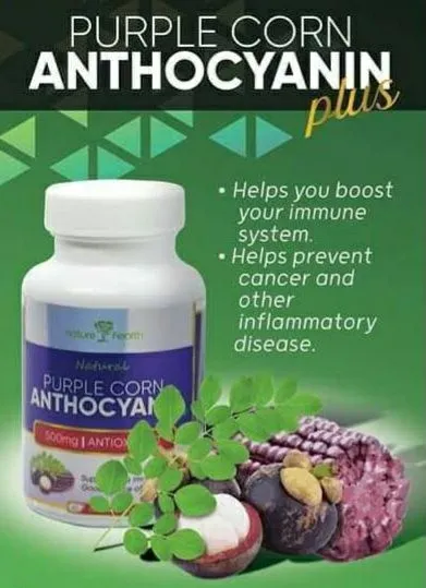 60 Veggie Capsules Purple Corn Anthocyanin | Lazada PH