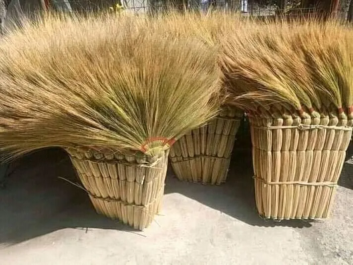 Walis Tambo | Lazada PH: Buy sell online Brooms with cheap price ...