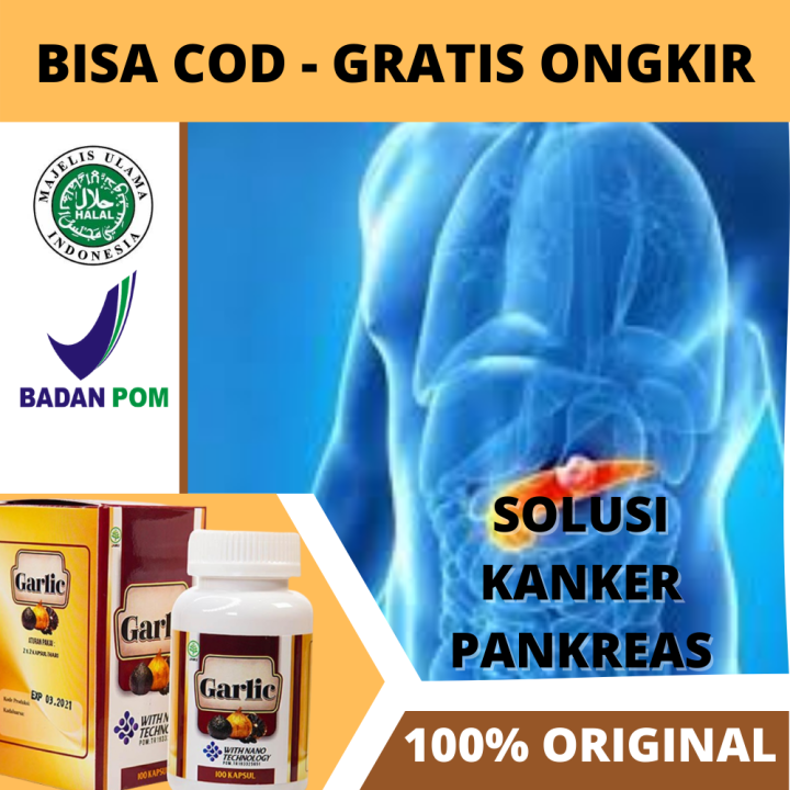 Obat Kanker Pankreas, Suplemen Buat Kanker Pankreas Stadium 1, Herbal ...