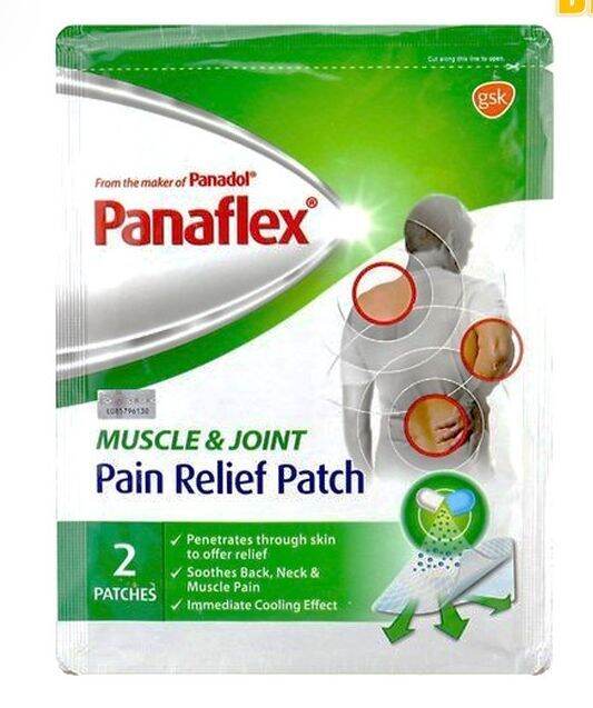 PANAFLEX PAIN RELIEF PATCH 2S | Lazada