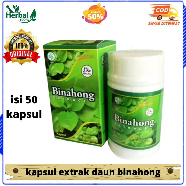 Herbal Ekstrak Kapsul Daun Binahong - 60 Kapsul | Lazada Indonesia