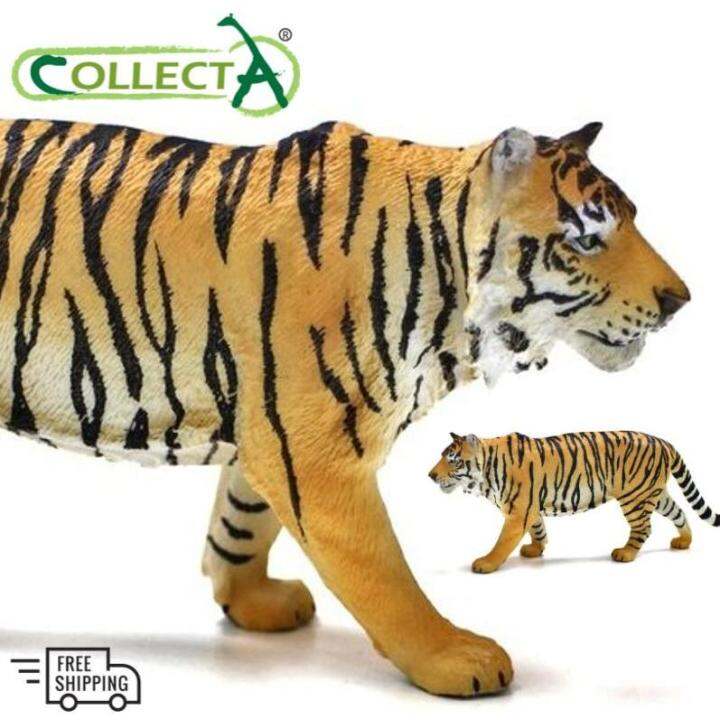 Siberian Tiger - CollectA 88789 Wild Life Animal Action Figurine / Toy ...