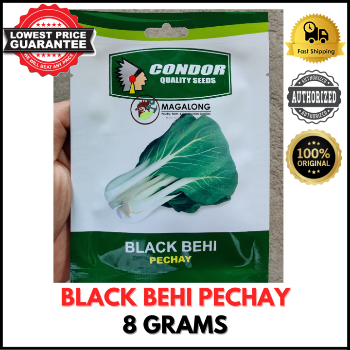 CONDOR SEEDS - PECHAY SEEDS - BLACK BEHI 8 GRAMS | Lazada PH