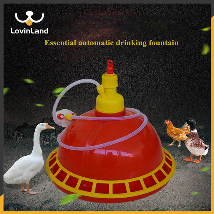 Lovinland Pet Poultry Automatic Drinking Water Bottle Chicken Duck ...