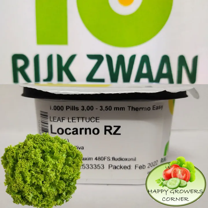 Locarno RZ Lollo Bionda Lettuce by RIJK ZWAAN (1,000 pills /Original ...