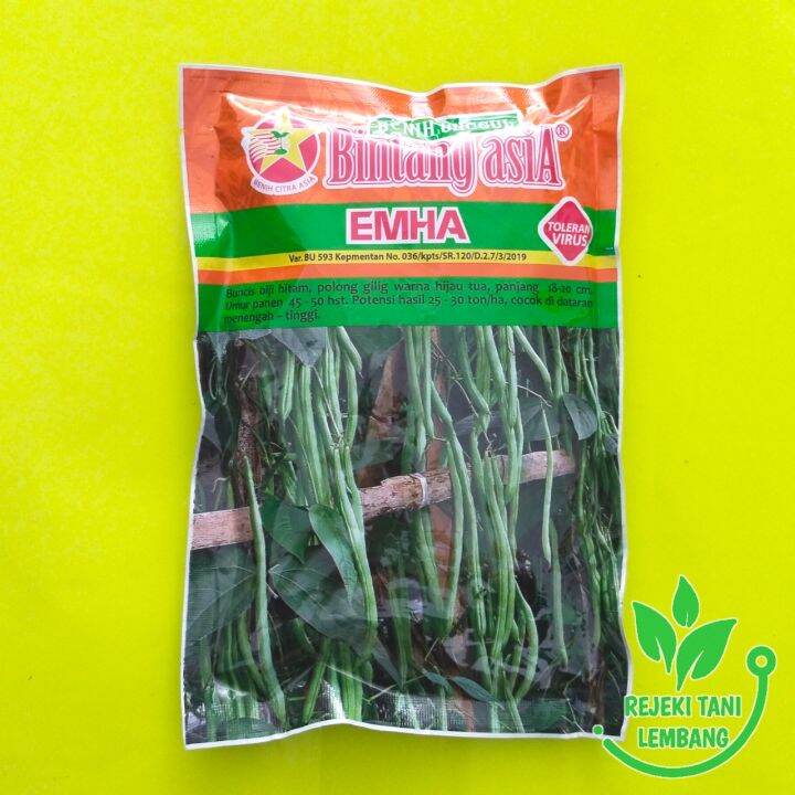 BENIH BUNCIS EMHA ISI 500 GR BENIH BUNCIS BIJI HITAM | Lazada Indonesia