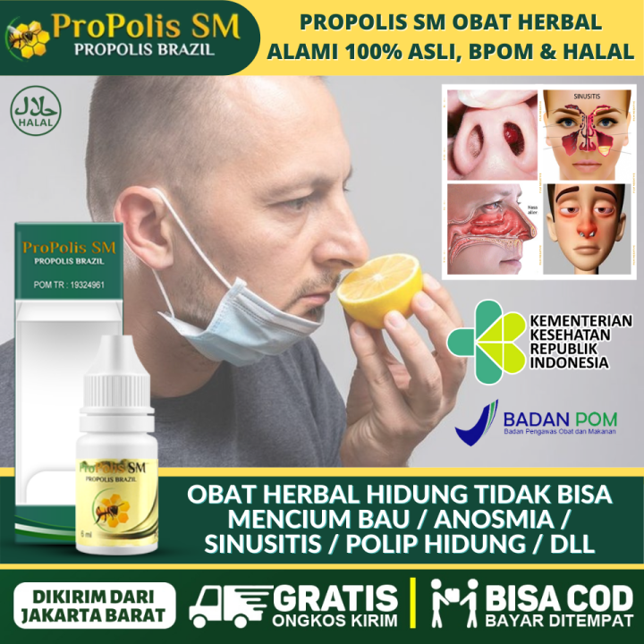 Obat Herbal Untuk Rhinitis 100% ASLI - Obat Rhinitis Kronis & Akut ...