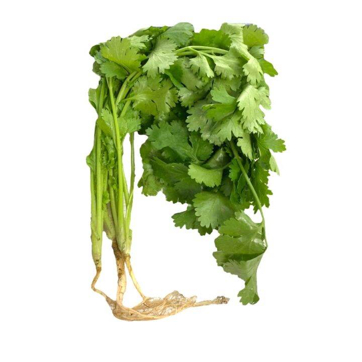 Local Fresh Coriander "Wansoy" (30g) | Lazada PH