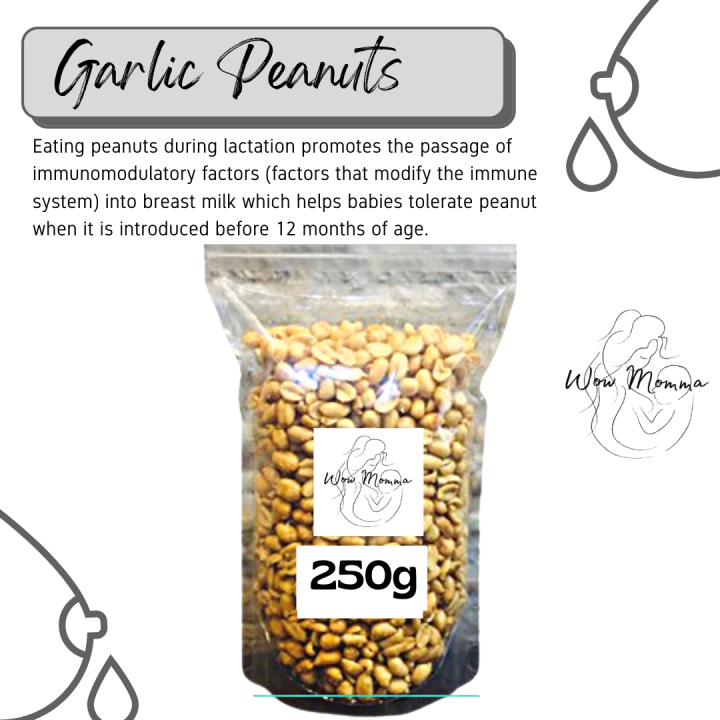 Wow Momma Garlic Peanuts | Lazada PH