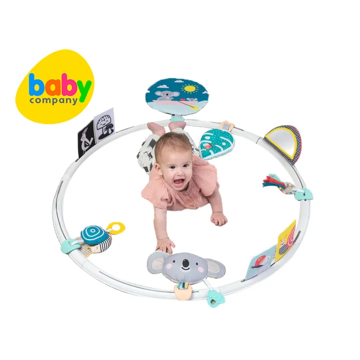Taf Toys All Around Me Activity Hoop | Lazada PH
