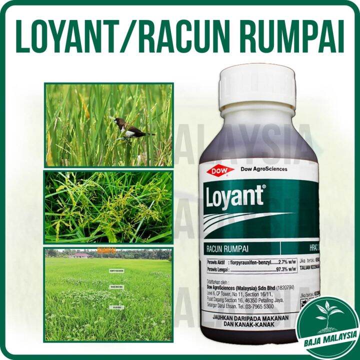 Dow AgroScience Loyant Racun Rumput Padi Sambau Keladi Agas Cabai Kera ...