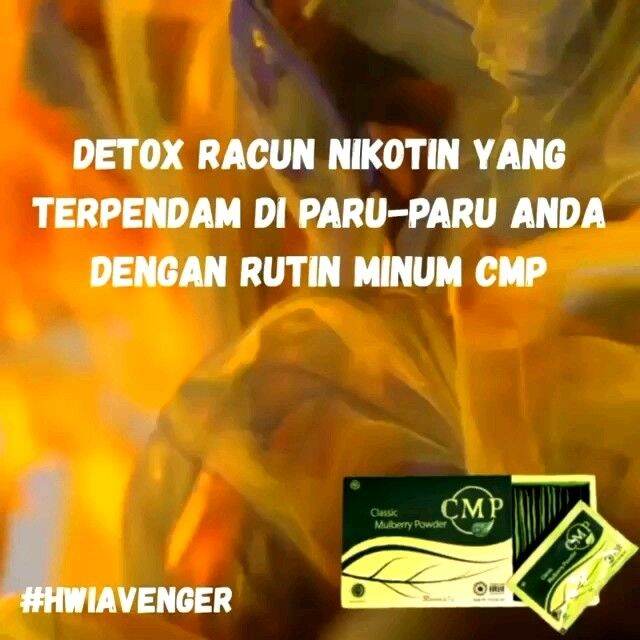 CMP mint original suplemen detoksifikasi produk herbal minuman klorofil ...