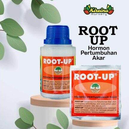 Root-Up Hormon Pertumbuhan Akar | Lazada Indonesia