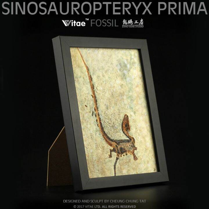 Vitae produces Jurassic primitive Sinosaurus fossil photo frame ...