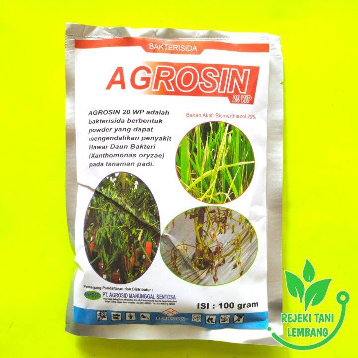 BAKTERISIDA AGROSIN 20 WP ISI 100 GR PENGENDALI PENYAKIT TAWAR DAUN | Lazada Indonesia