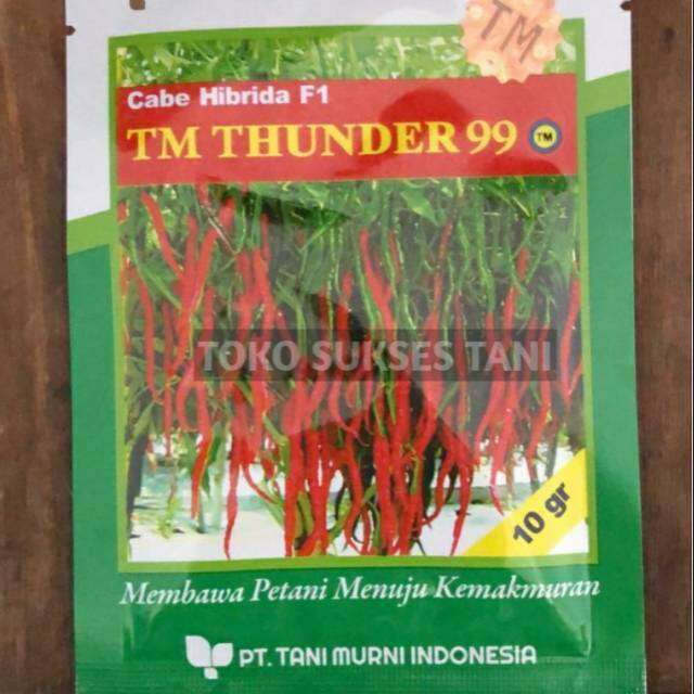 Benih Cabe TM THUNDER 99 dari Tani Murni Indonesia .isi 10 gram ...