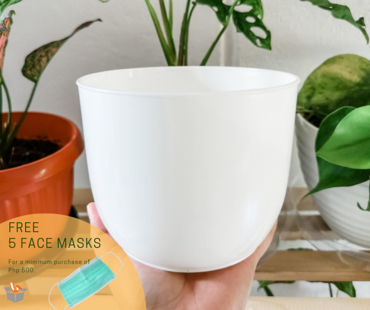 Plastic Pot Plain - Medium | Lazada PH