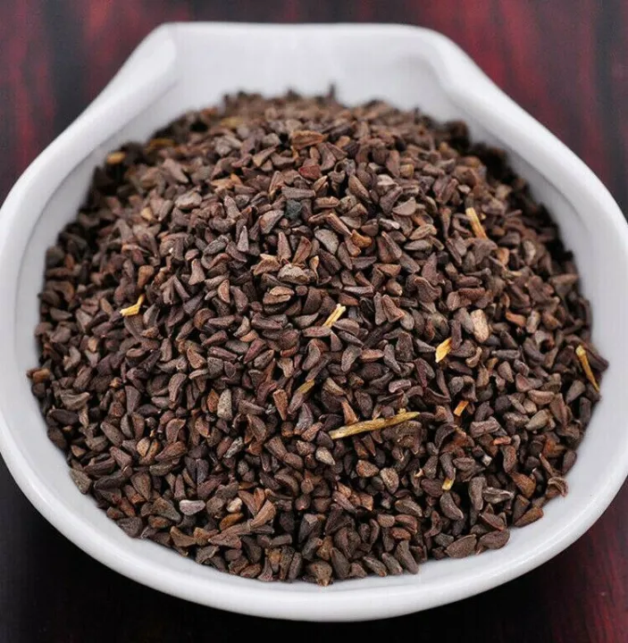 Syrian Rue (Peganum harmala) Mult Size Incense & Purified air & Mind ...