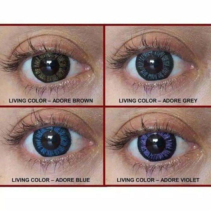 Softlens Living Color Adore / Soflens Adore / Softlen Adore | Lazada ...