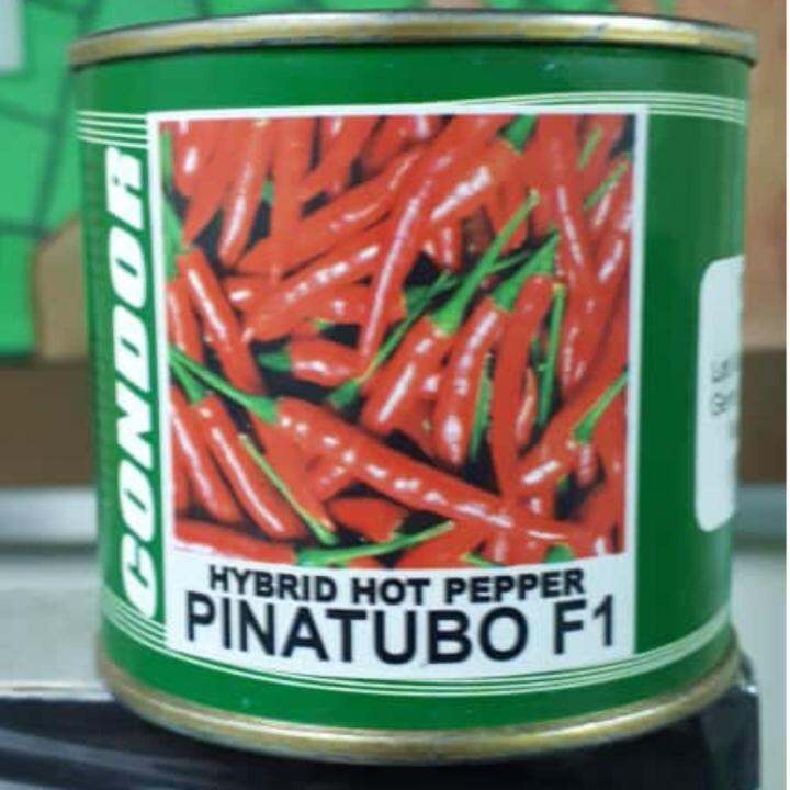 HYBRID HOT PEPPER (SILI) PINATUBO F1 SEEDS 25g CAN BY CONDOR LABUYO ...