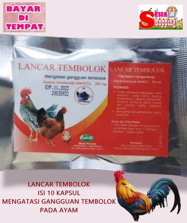 Lancar Tembolok Ayam 10 Kapsul - Mengatasi Gangguan Pencernaan Pada ...