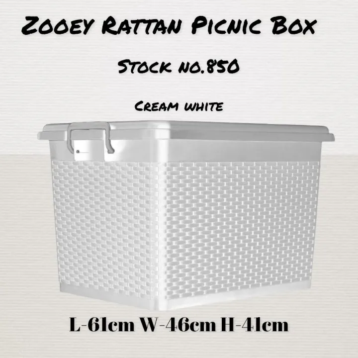 Zooey Rattan Picnic Box Storage Box Stock No. 850 | Lazada PH