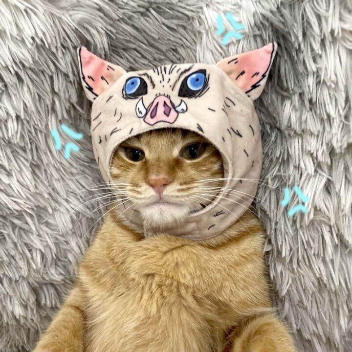 Anime Demon Slayer Kimetsu No Yaiba Hashibira Inosuke Pig Head Cat Hat ...
