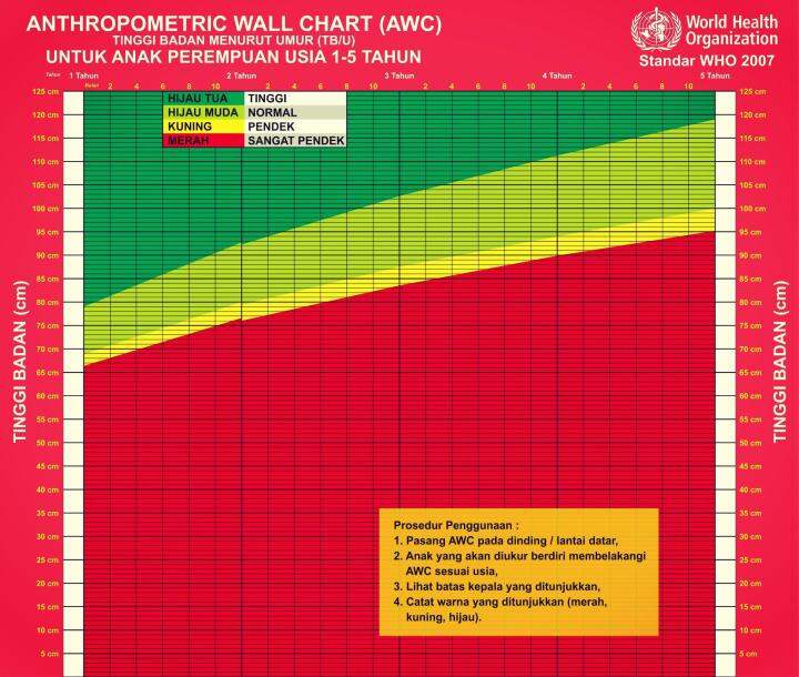Anthropometric Wall chart/ deteksi stunting/ menilai tinggi badan anak ...
