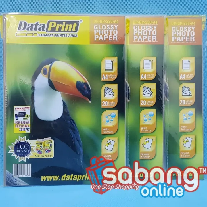 KERTAS FOTO DATA PRINT PAPER PHOTO GLOSSY 230GR A4 | Lazada Indonesia