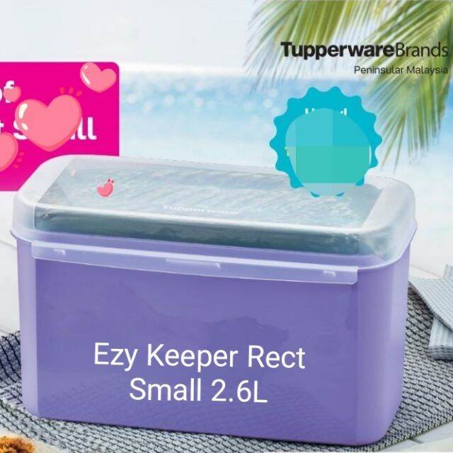 Tupperware 2.6L Ezy Keeper Rectangular Small (1pc) | Lazada