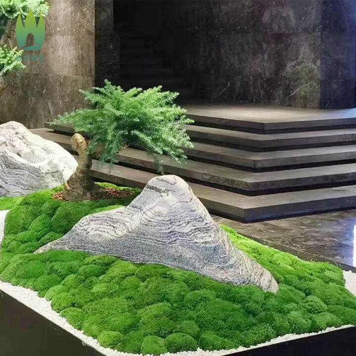 Plant castle eternal moss indoor landscaping moss wall dry landscape ...