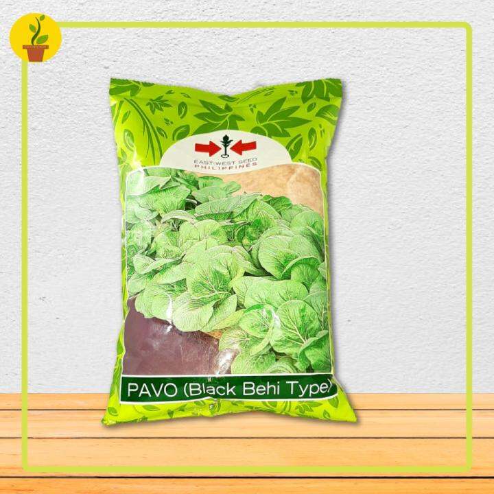 Pechay Seeds (Pavo OP Variety) [1,000 Grams Bag] - Eastwest By ...