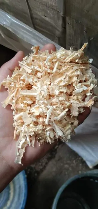 kusot or wood shaving | Lazada PH