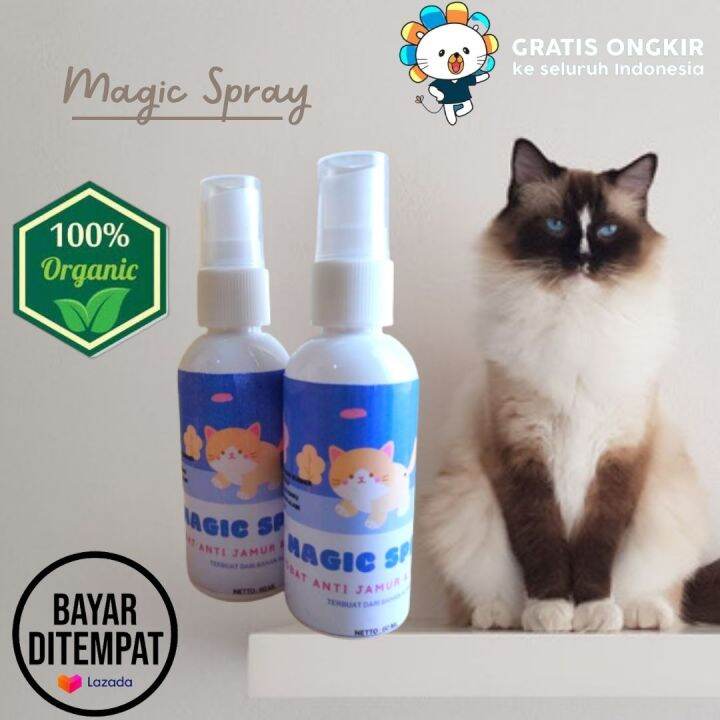 Magic spray Obat Jamur Kucing Dan Scabies Obat Kulit Spray Obat Kucing ...