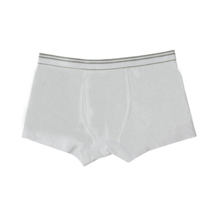 GIORDANO Men's Solid Classic Brief (01179013) | Lazada PH