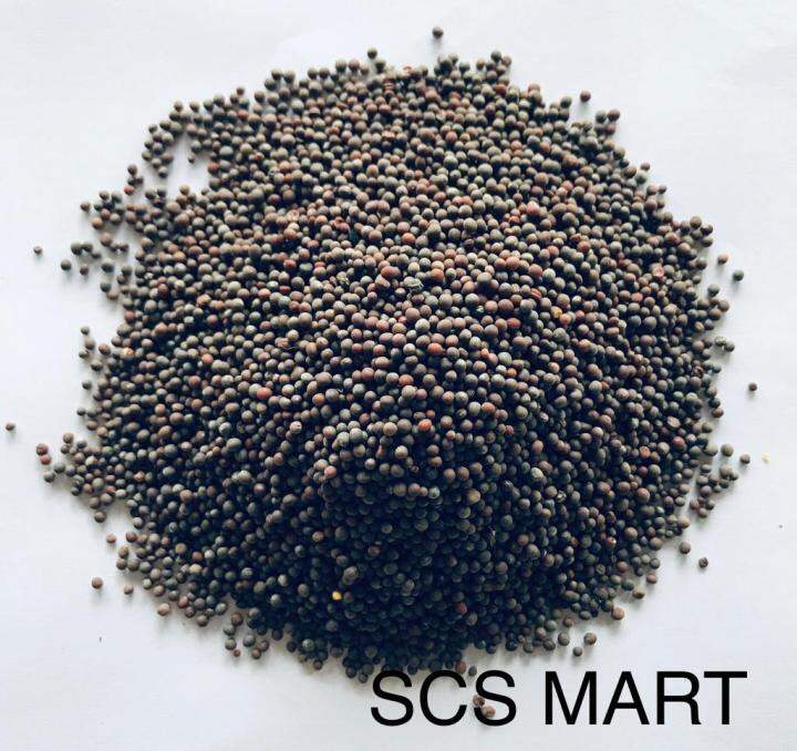 Mustard Seed 500g Biji Sawi | Lazada
