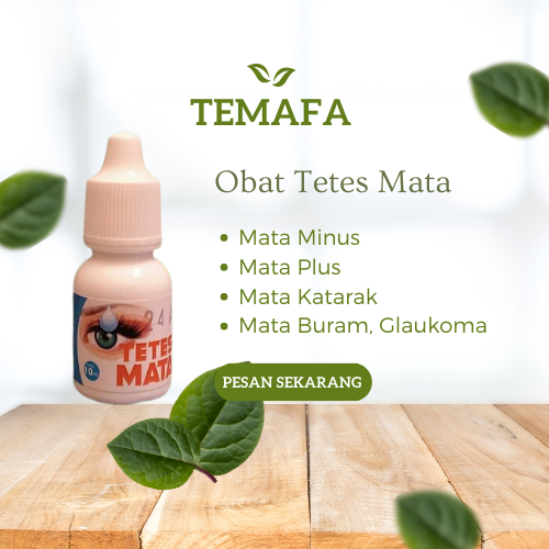Obat Tetes Mata Herbal Ampuh di Apotik HONEY Noni Eye untuk mata minus ...