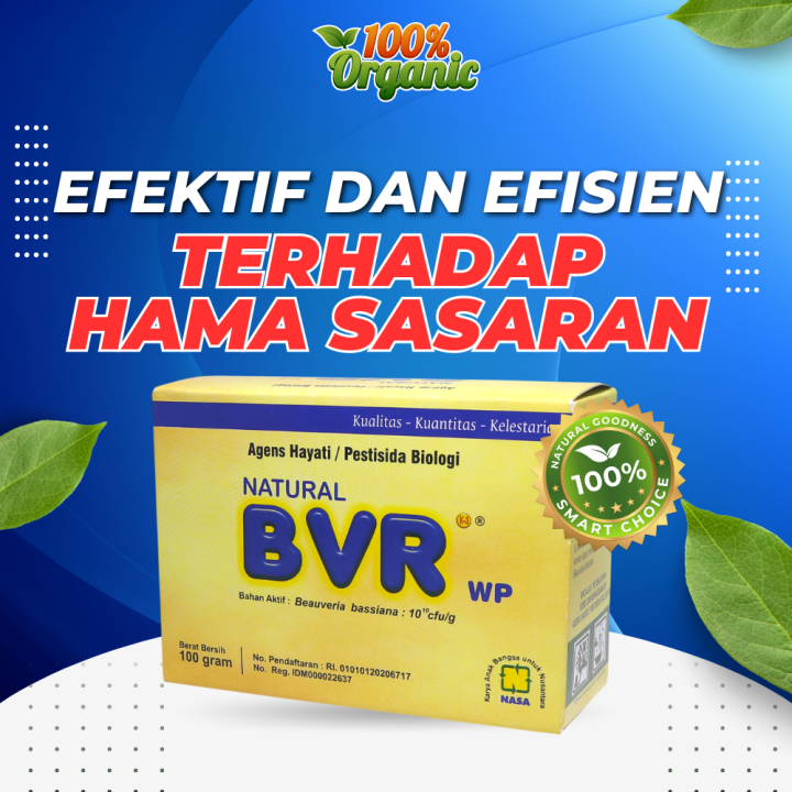 Pestisida Pengendali Hama Tanaman100 grm Pengendali Hama Wereng Coklat ...